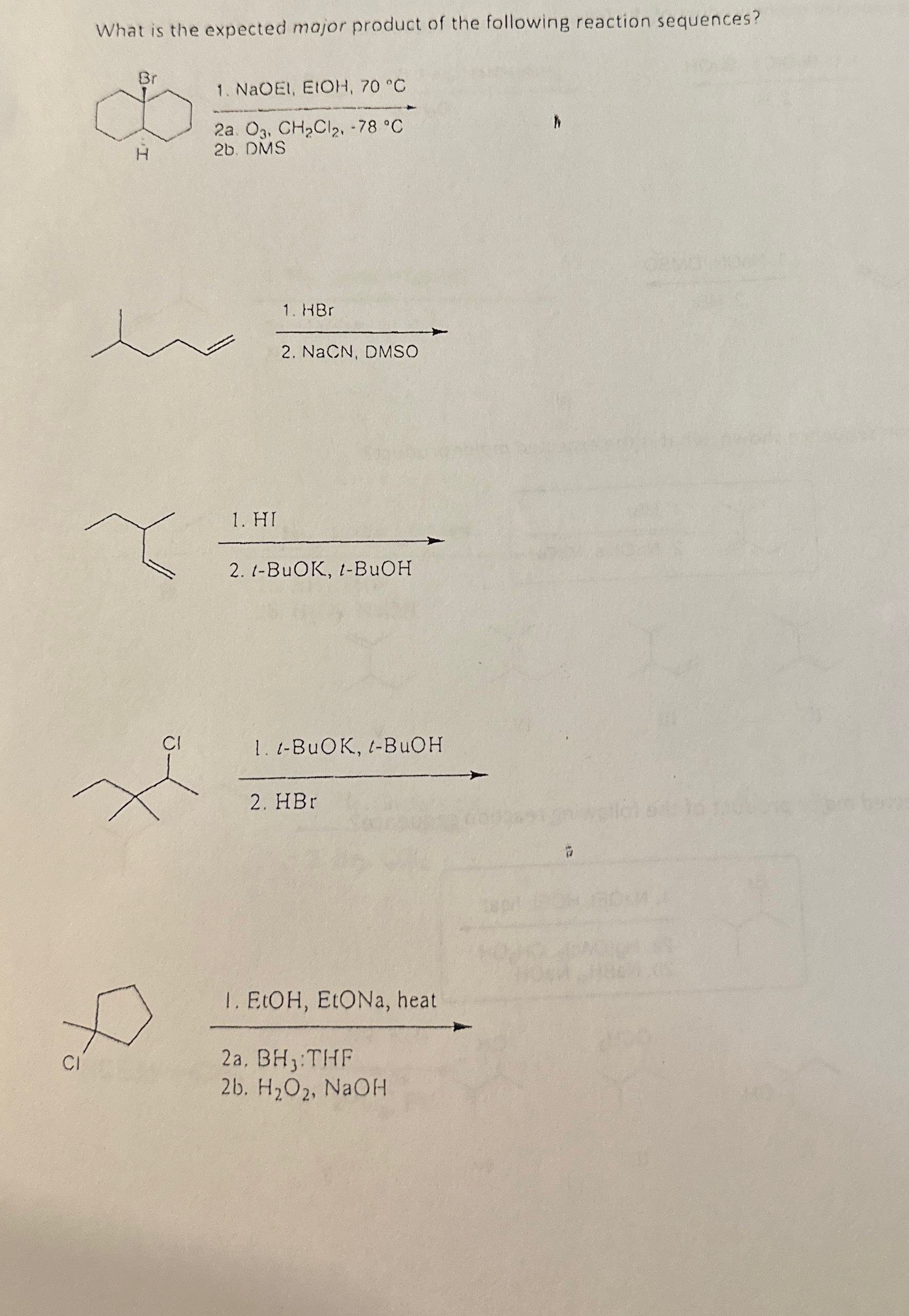 Solved What is the expected major product of the following | Chegg.com