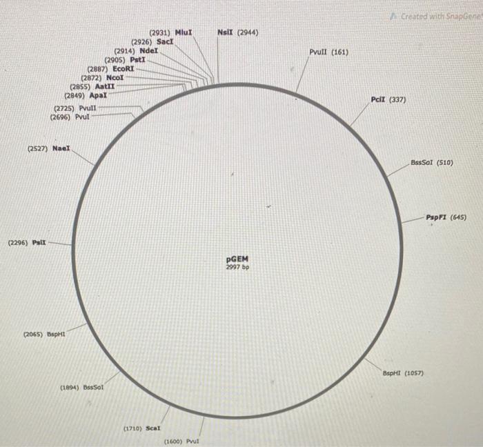 Solved (2527) NaeI.Below is a restriction enzyme map of a | Chegg.com