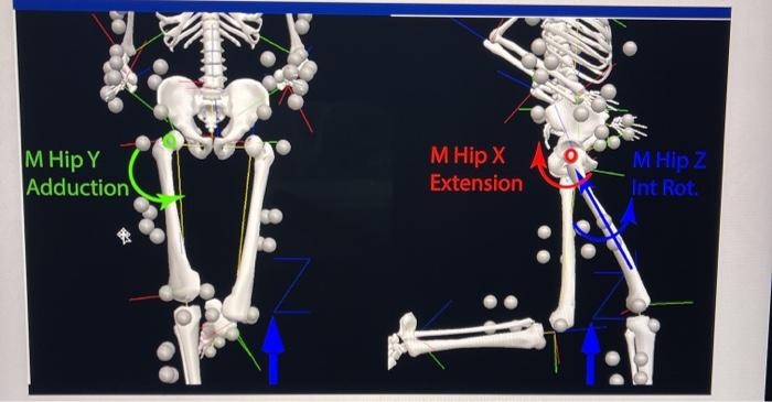 Solved $ M Hip Y Adduction M Hip X Extension M Hip Z Int Rot | Chegg.com