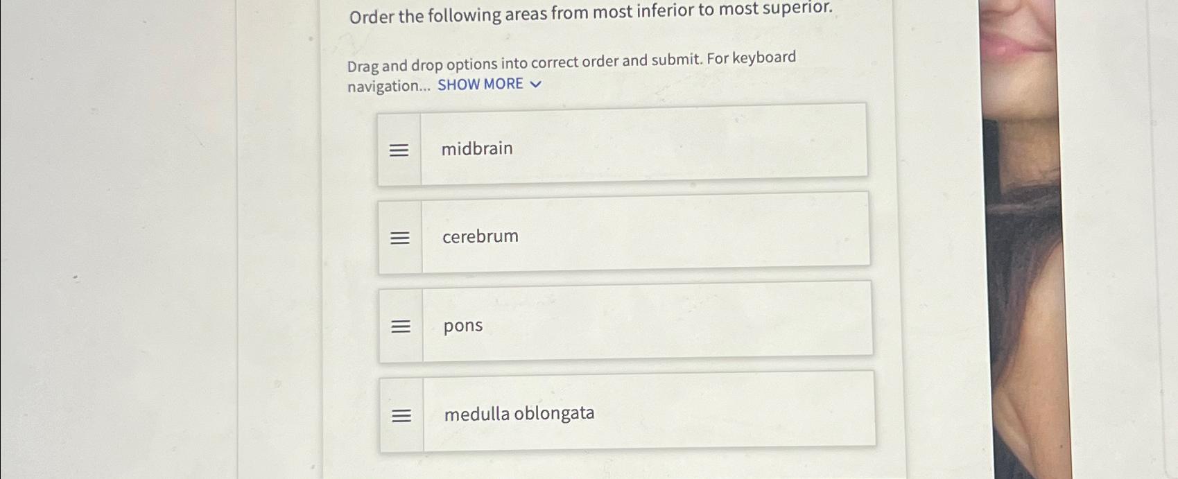 Solved Order the following areas from most inferior to most | Chegg.com