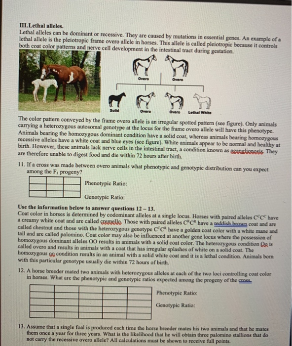 Solved III. Lethal alleles. Lethal alleles can be dominant | Chegg.com