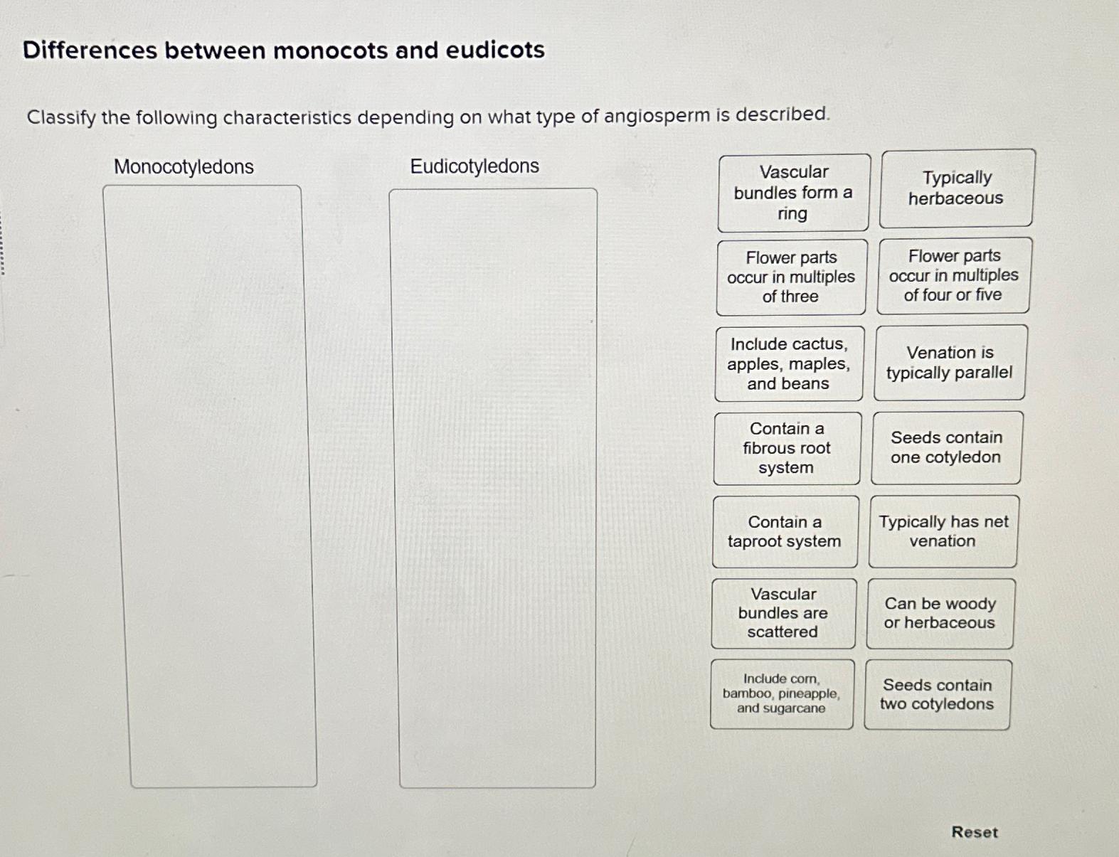 Solved Differences between monocots and eudicotsClassify the | Chegg.com