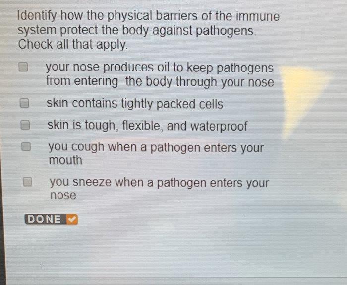 Solved Identify how the physical barriers of the immune | Chegg.com