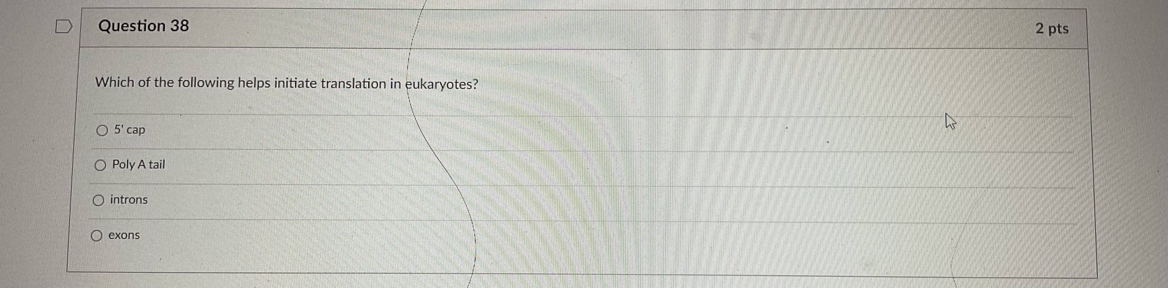 Solved Question 38Which of the following helps initiate | Chegg.com