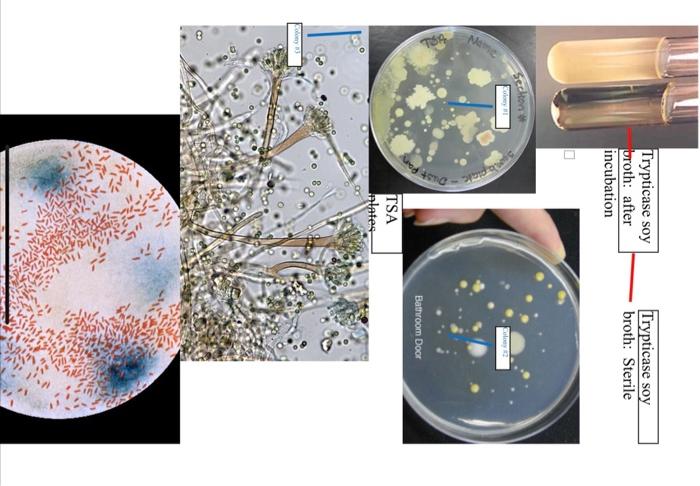 Case Study Exercise 6 Ubiquity of | Chegg.com