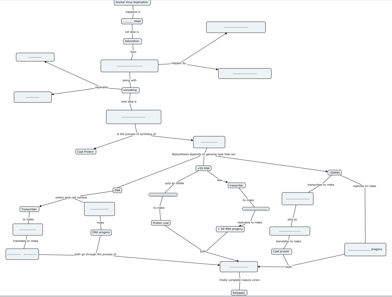Animal Virus Replication Concept mapThe concept maps | Chegg.com