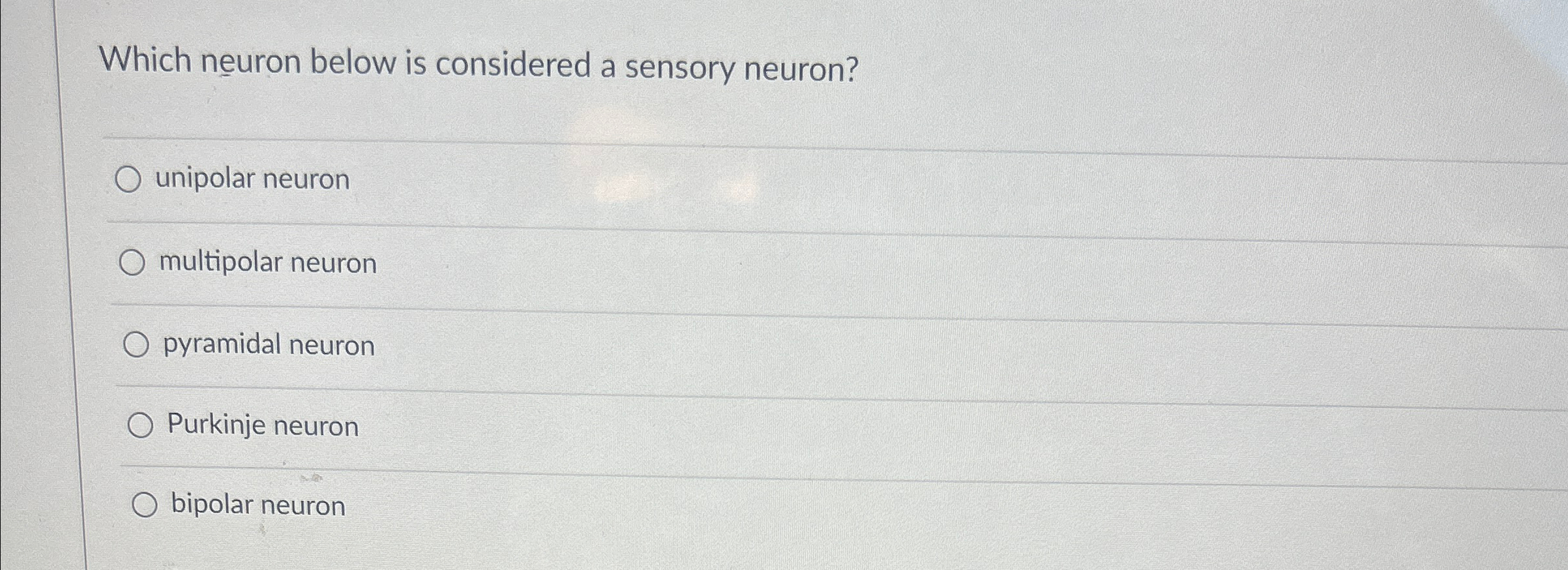 Solved Which neuron below is considered a sensory | Chegg.com