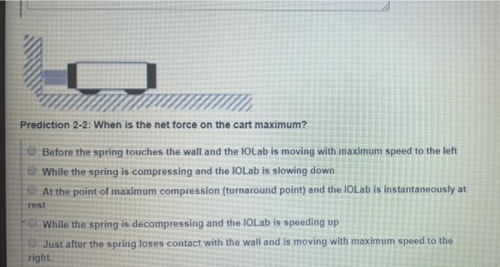 Solved Attach the spring and screw to the IOLab. Place the | Chegg.com