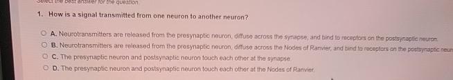 Solved How is a signal transmitted Irom one neuron to | Chegg.com