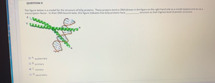 Solved QUESTION The figure below is a model for the | Chegg.com