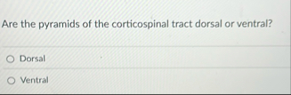 Solved Are the pyramids of the corticospinal tract dorsal or | Chegg.com