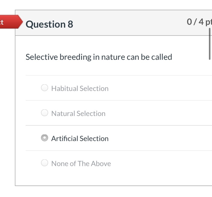 Solved Question 8 0/4pt Selective breeding in nature can be | Chegg.com