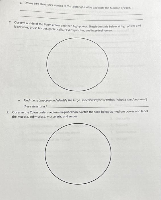 Solved a. Nome two structures located in the center of a | Chegg.com