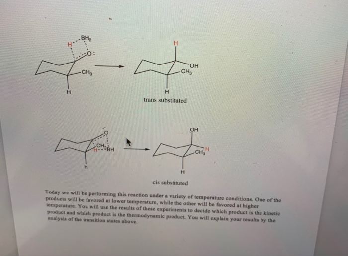 Solved Kinetic vs. Thermodynamic Control During your study | Chegg.com