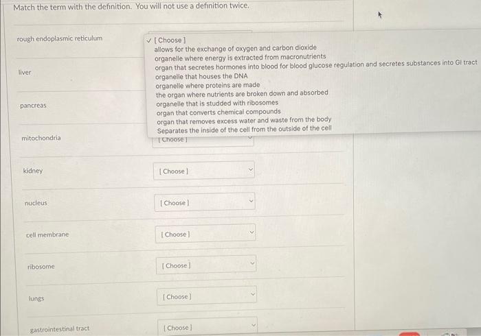 Solved Match the term with the definition. You will not use | Chegg.com