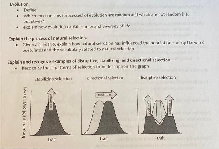 Solved Evolution Define • Which mechanisms (processes) of | Chegg.com