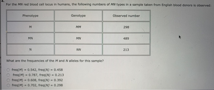 Solved For the MN red blood cell locus in humans, the | Chegg.com