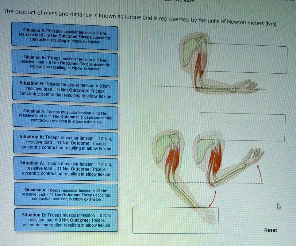 Solved Types of Contraction Part 2 A law of physics tells us | Chegg.com