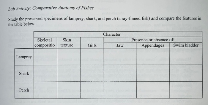 Solved Lab Activity: Comparative Anatomy of Fishes Study the | Chegg.com