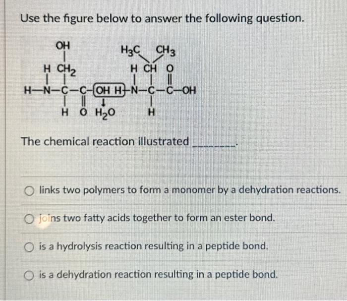 Solved Use the figure below to answer the following | Chegg.com