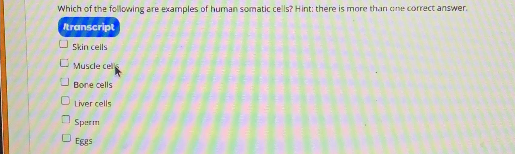 Solved Which of the following are examples of human somatic | Chegg.com
