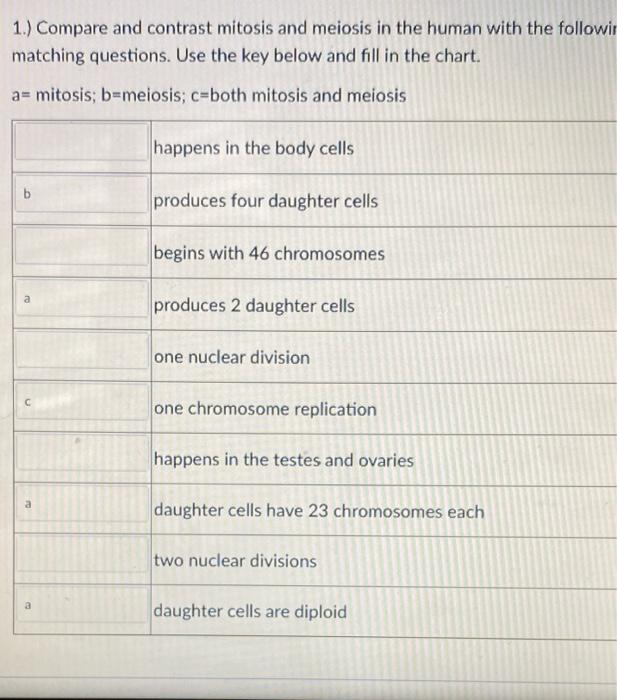 Solved 1.) Compare and contrast mitosis and meiosis in the | Chegg.com