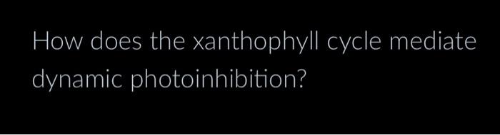 Solved How does the xanthophyll cycle mediate dynamic | Chegg.com