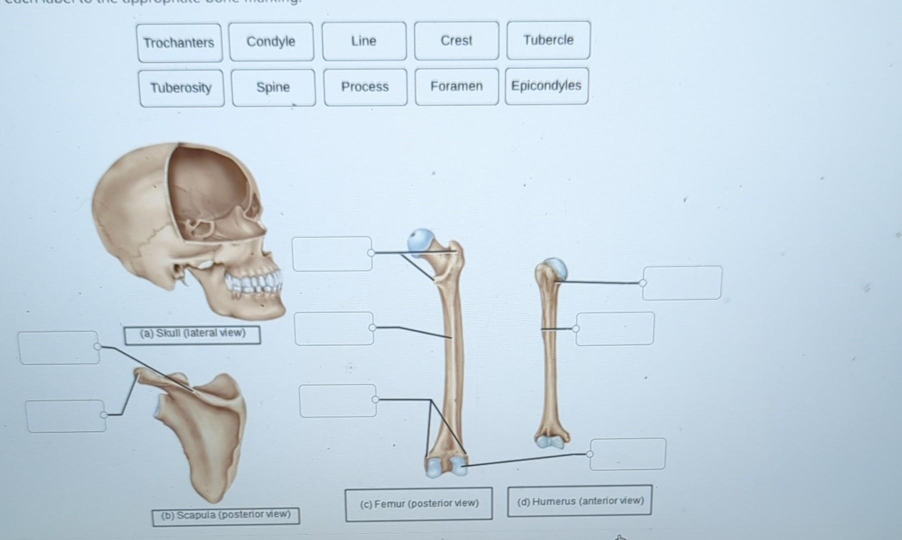 Solved #8 | Chegg.com