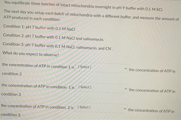 Solved You equilibrate three batches of intact mitochondria | Chegg.com