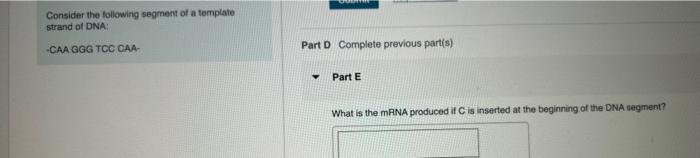 Solved Consider the following segment of a template What is | Chegg.com