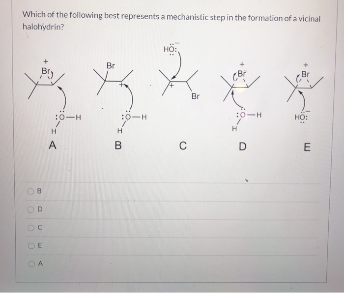 Solved Which of the following best represents a mechanistic | Chegg.com