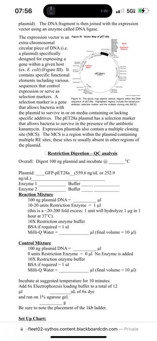 Solved plasmid). The DNA fragment is then joined with the | Chegg.com