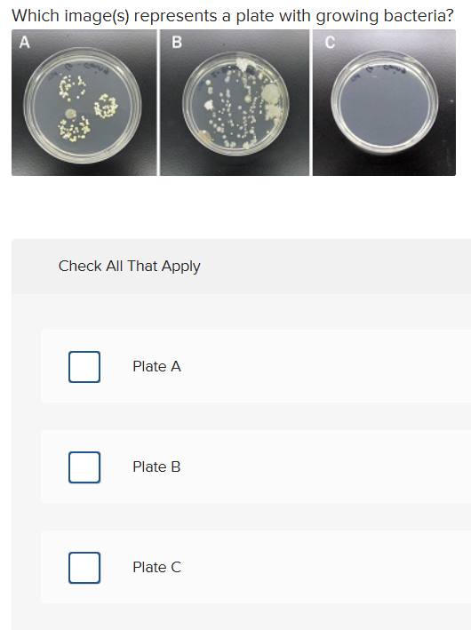 Solved Check All That Apply Plate APlate BPlate C | Chegg.com