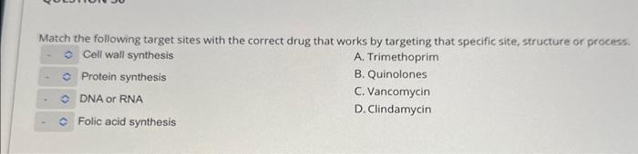 Solved Match the following target sites with the correct | Chegg.com