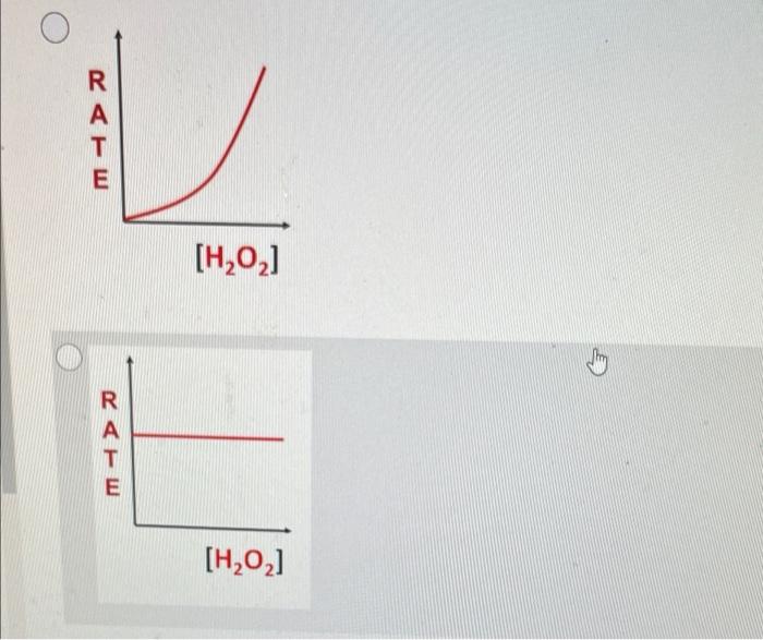 Solved Select the graph that describes how the reaction rate | Chegg.com