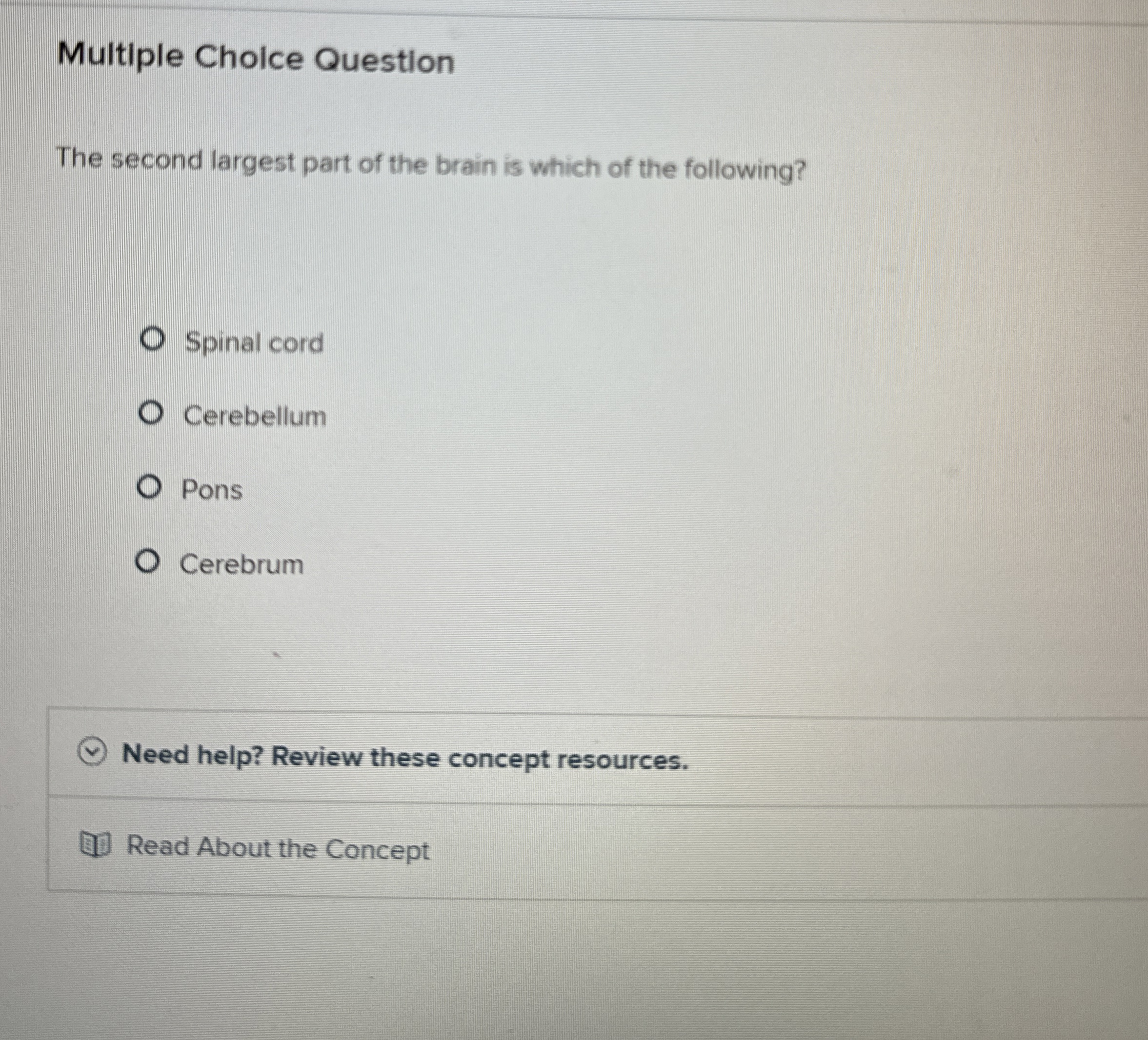 Solved Multiple Choice QuestionThe second largest part of | Chegg.com