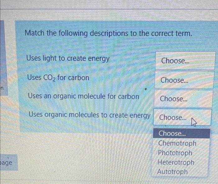 Solved Match the following descriptions to the correct term. | Chegg.com