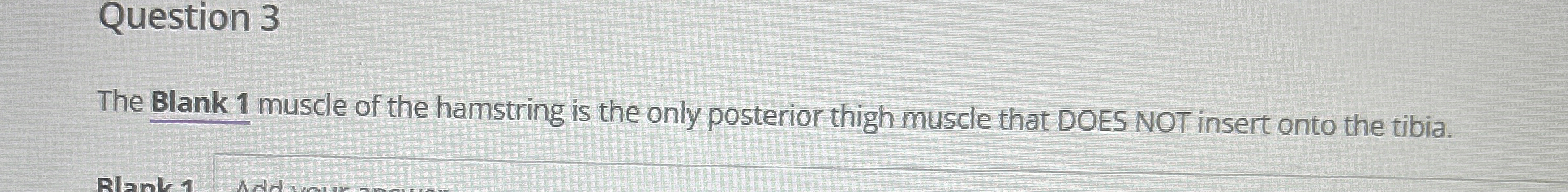 Question 3The Blank 1 ﻿muscle of the hamstring is the | Chegg.com