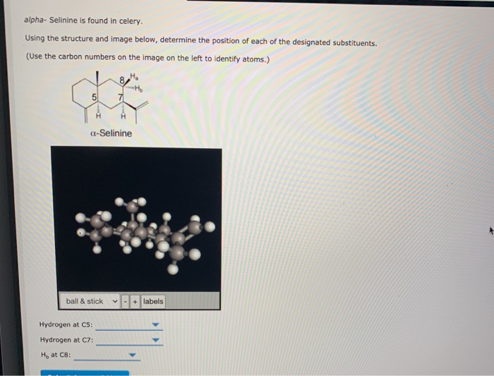 Solved alpha-Selinine is found in celery. Using the | Chegg.com