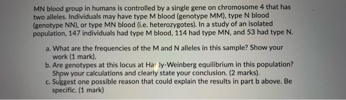 Solved MN blood group in humans is controlled by a single | Chegg.com