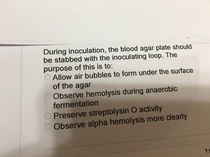 Solved During inoculation, the blood agar plate should be | Chegg.com