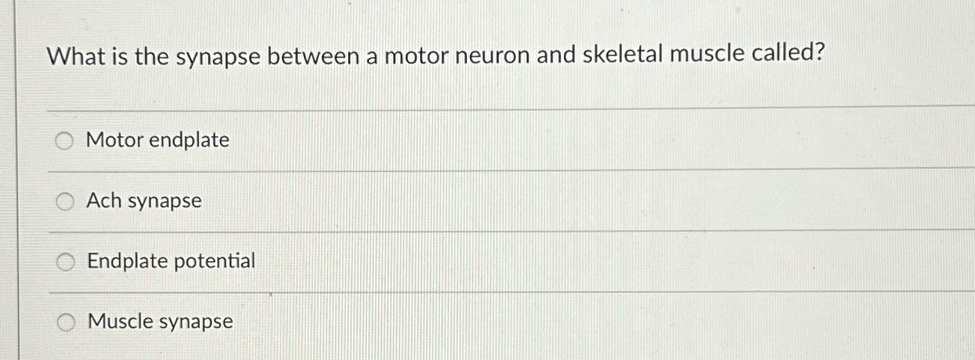Solved What is the synapse between a motor neuron and | Chegg.com