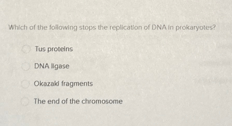 Solved Which of the following stops the replication of DNA | Chegg.com