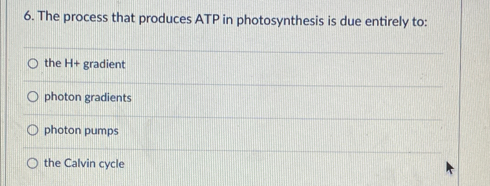 Solved The process that produces ATP in photosynthesis is | Chegg.com