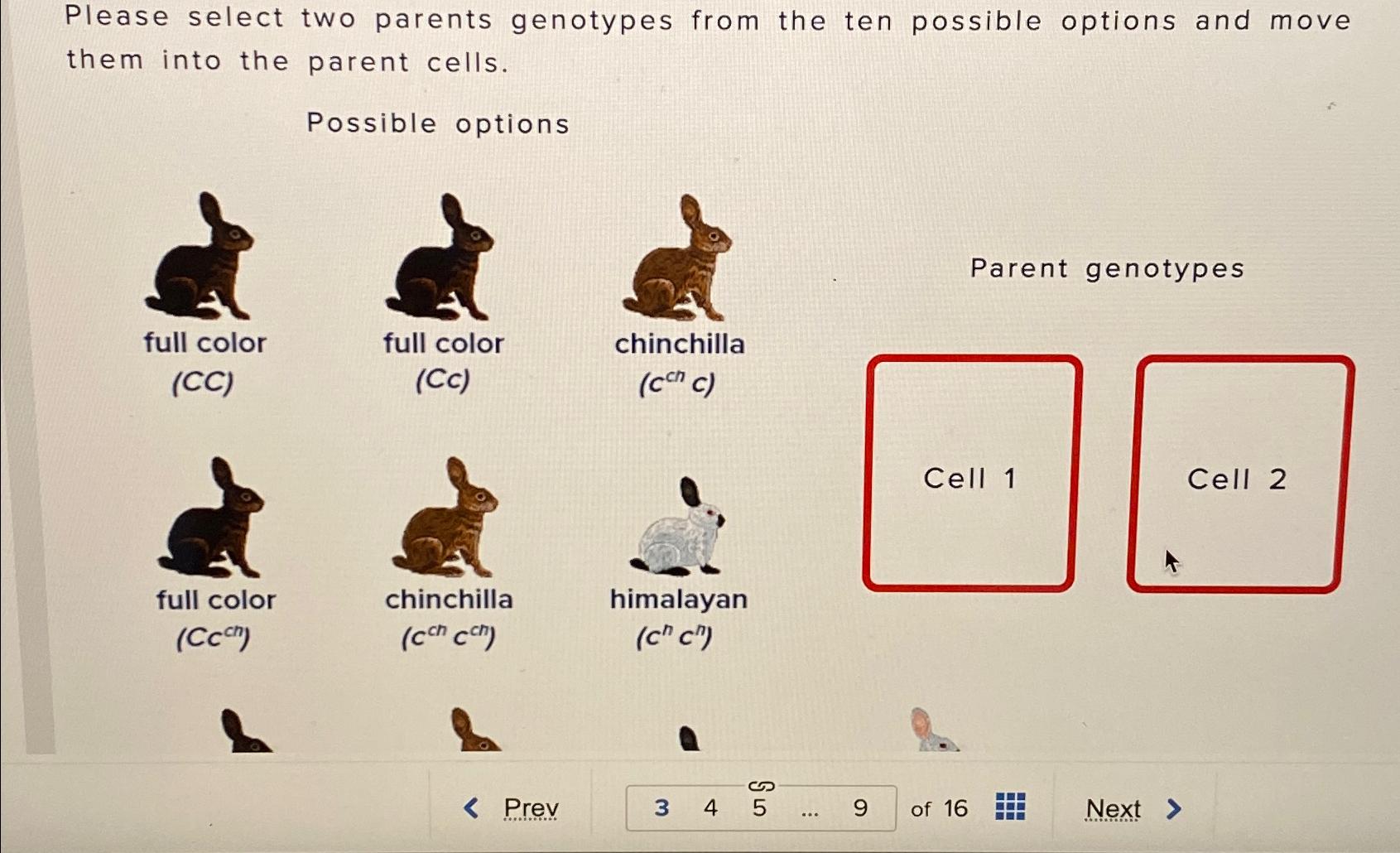 Solved Please select two parents genotypes from the ten | Chegg.com