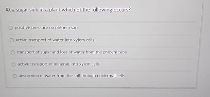 Solved At a sugar sink in a plant which of the following | Chegg.com