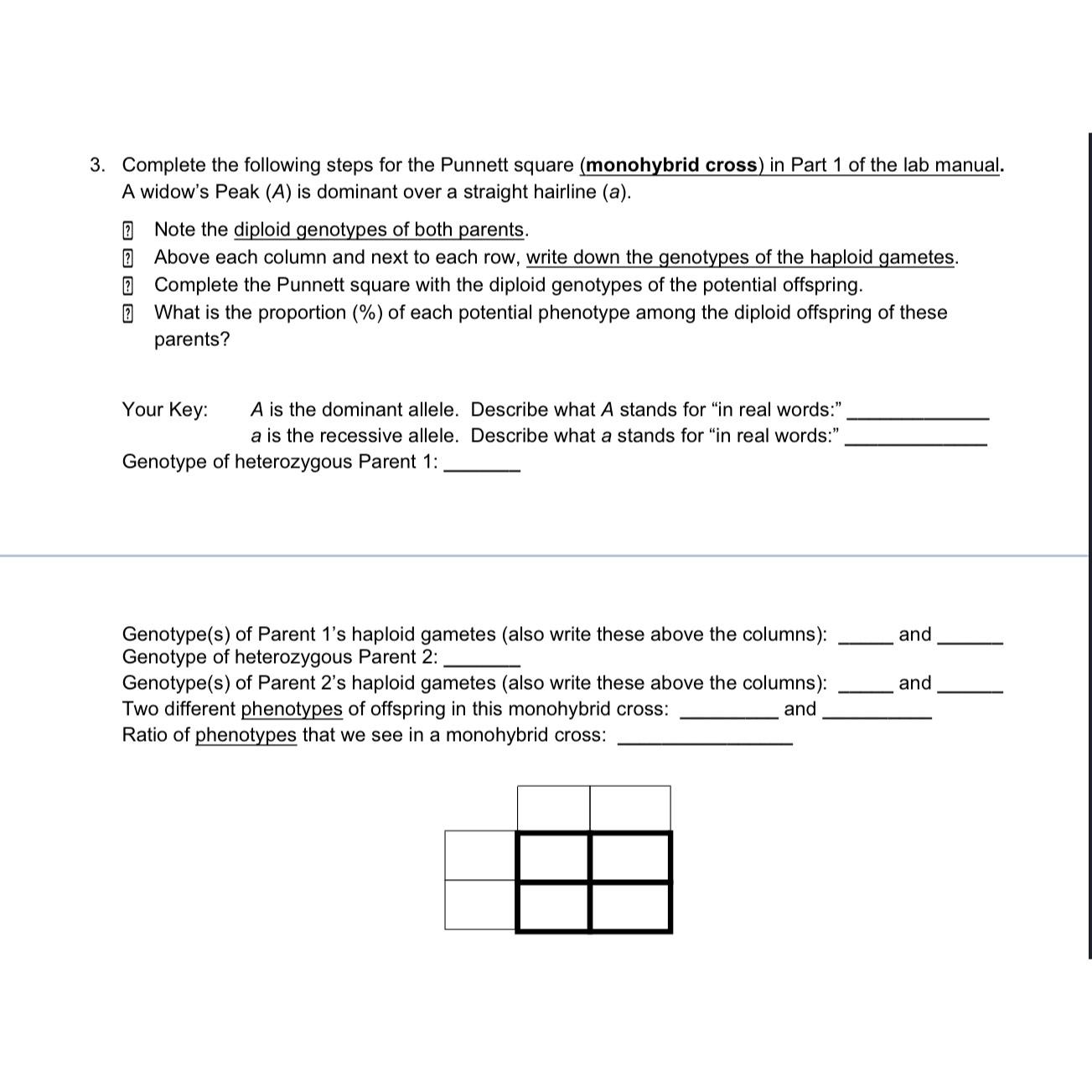 Solved Complete the following steps for the Punnett square | Chegg.com
