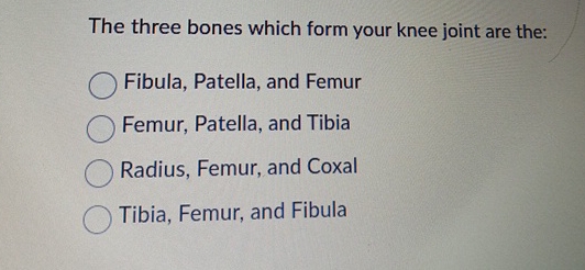 Solved The three bones which form your knee joint are | Chegg.com