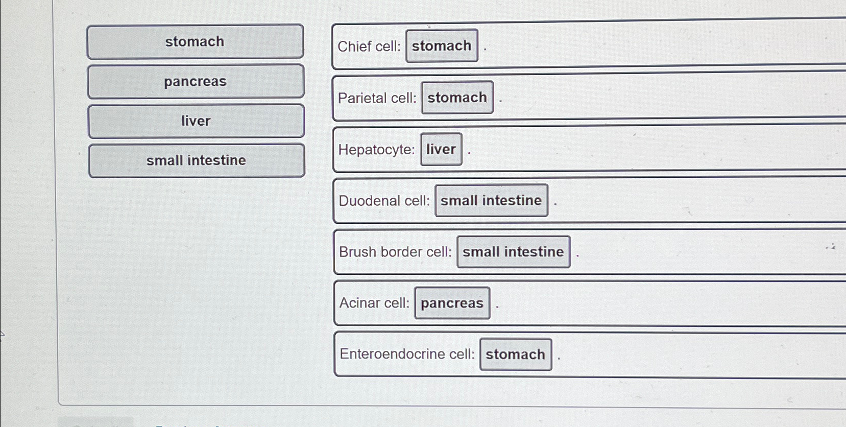 Solved \table[[stomach],[pancreas],[liver]]small | Chegg.com