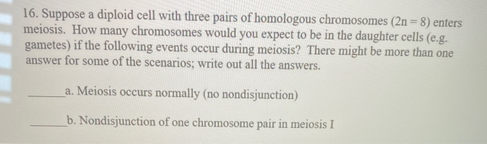 Solved 16. Suppose a diploid cell with three pairs of | Chegg.com